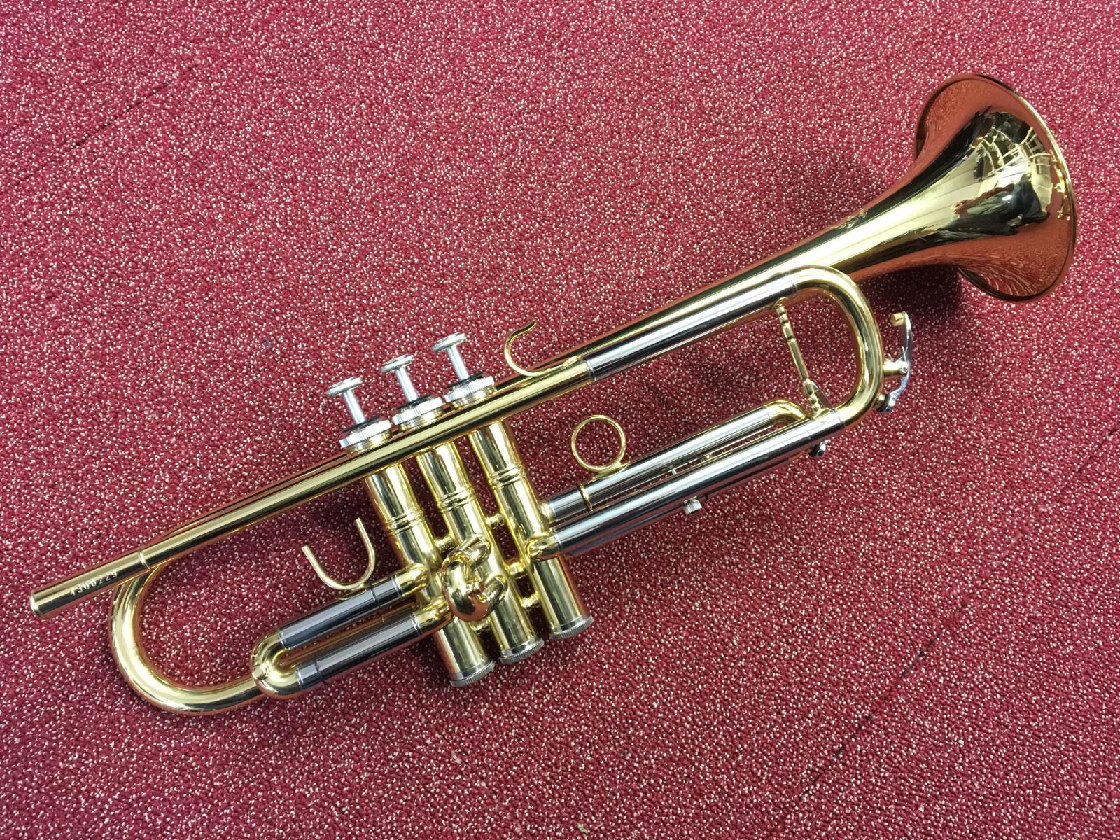 Blasinstrumente - Musik Hegmann